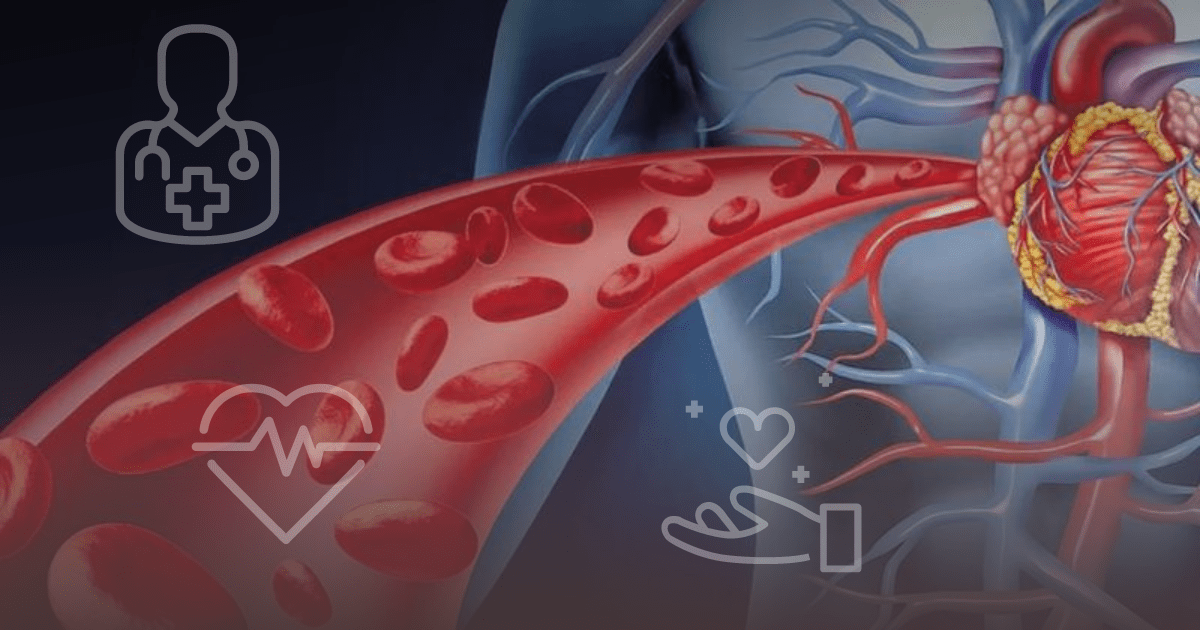 ¿Qué son las arterias y cuál es su función? - Servicios Médicos Integrales a Domicilio